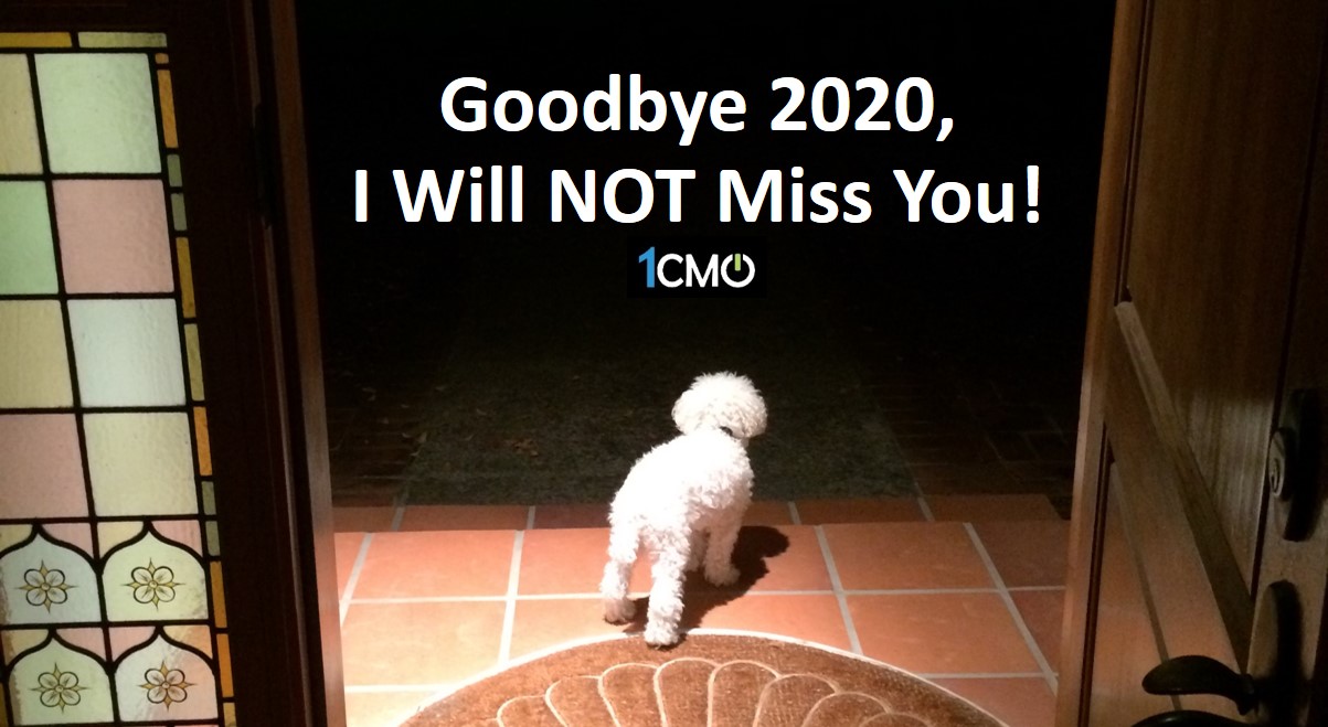 Goodbye 2020, I Will NOT Miss You! - 1CMO